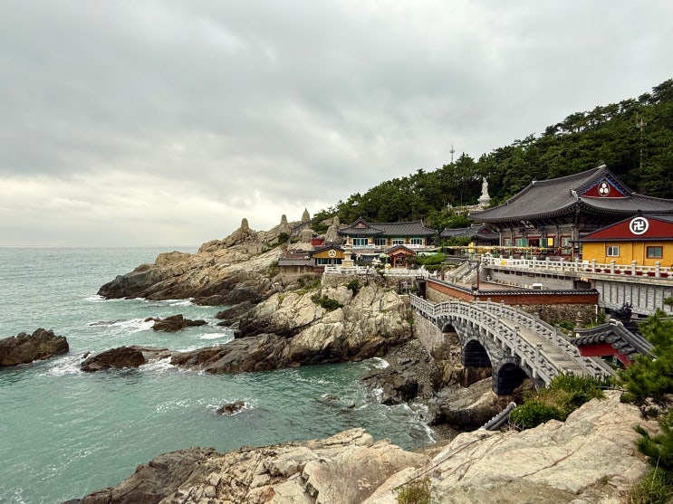 [부산 Busan] 해동 용궁사 : 네이버 블로그