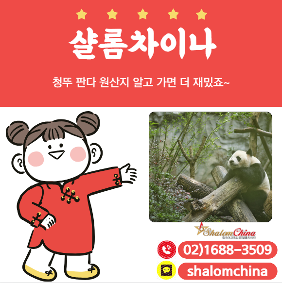 청뚜 판다 원산지 알고 가면 더 재밌죠~ : 네이버 블로그
