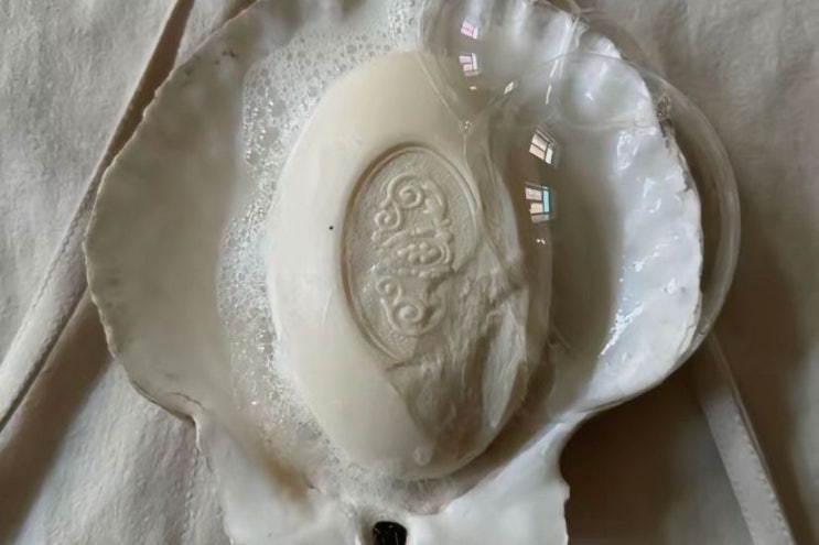 VANILLA! : 네이버 블로그