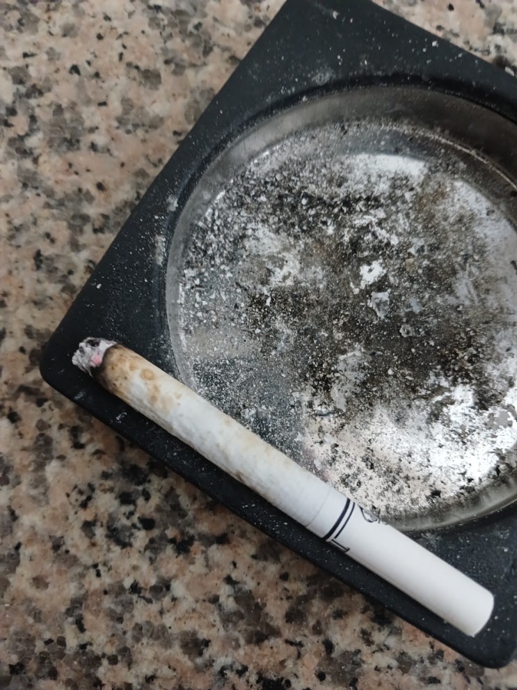 formalin gas pollution : 네이버 블로그