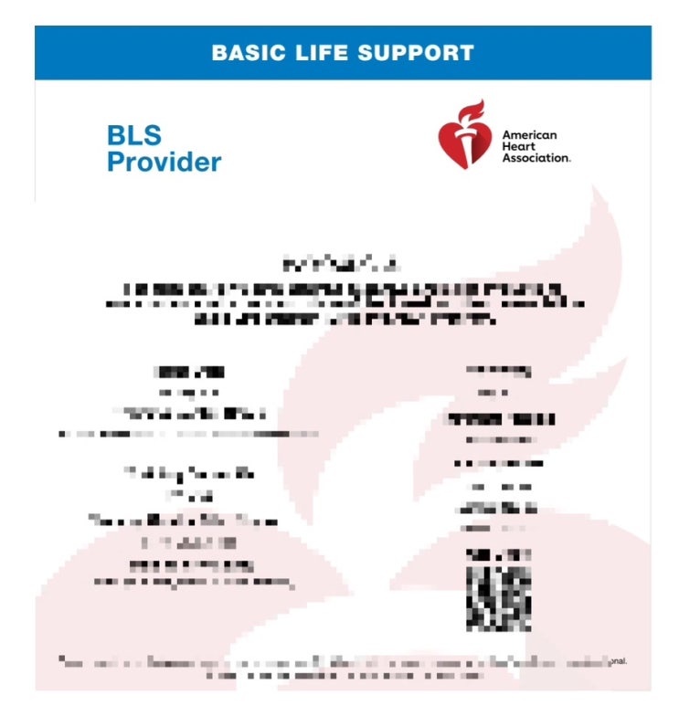 BLS Provider 후기~! / 보건의료인 과정 / 물리치료사 / 심폐소생술 자격증 취득 / 자료 공유 : 네이버 블로그