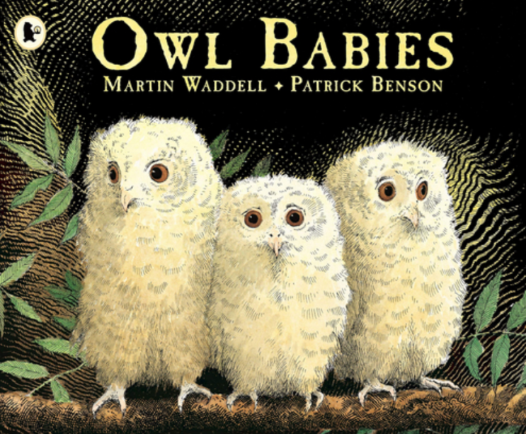 영어그림책 낭독클럽_260113_Owl Babies by Martin Waddell, Patrick Benson : 네이버 블로그