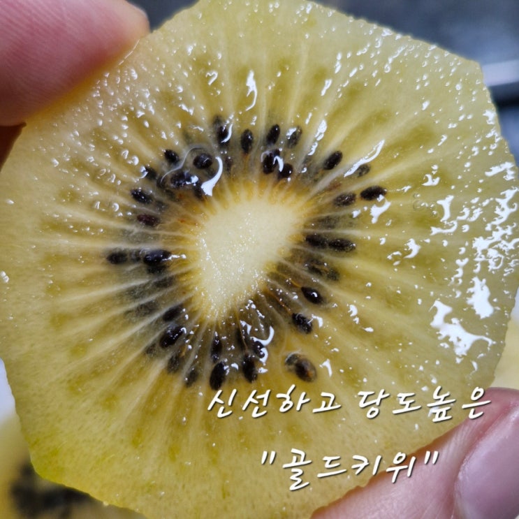 건강에 좋은 과일 골드키위 별빛뜰 : 네이버 블로그