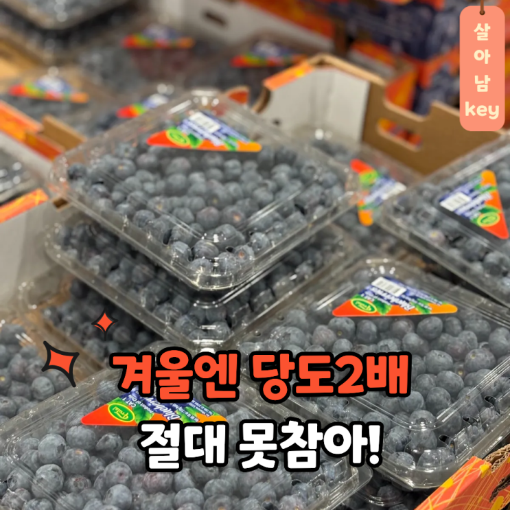 겨울에 먹으면 당도 2배,"코스트코 제철과일" 냉장고 있으면 이건 못 참아요!! : 네이버 블로그