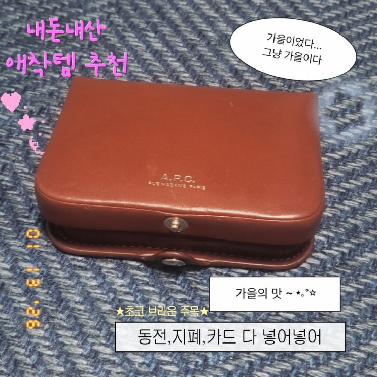 아페쎄 조쉬 카드 코인지갑 브라운 A.P.C Josh Coin Purse 내돈내산 리뷰 : 네이버 블로그