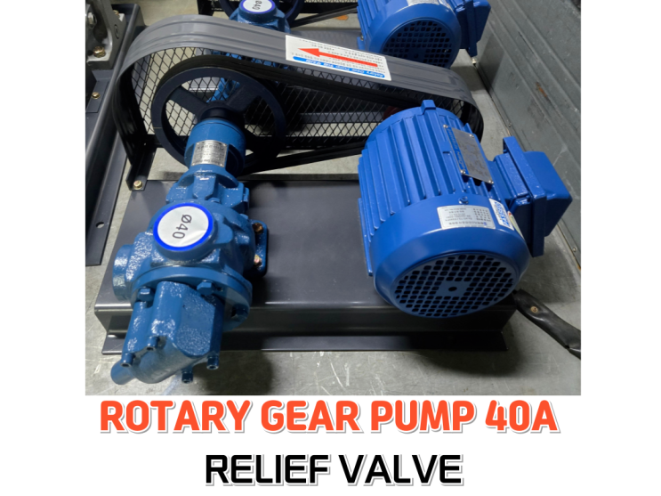 로타리기어펌프/Rotary gear pump/릴리프밸브/석유화학용/도료안료용/용제용/식품용/의약품용/안산펌프/안산모터 : 네이버 블로그