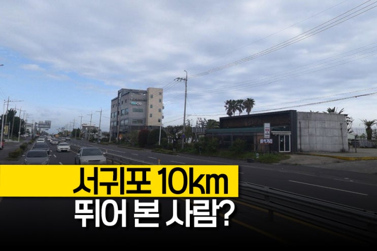 이번엔 제주도다. 2026 전마협 제주 10km 마라톤 코스와 일정 : 네이버 블로그