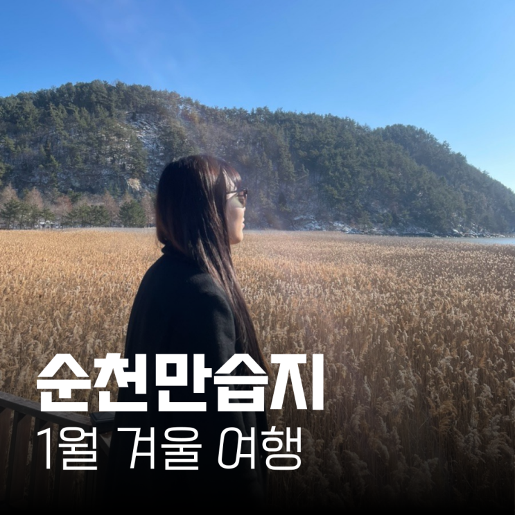 순천만습지 입장료 겨울 1월 여행 : 네이버 블로그