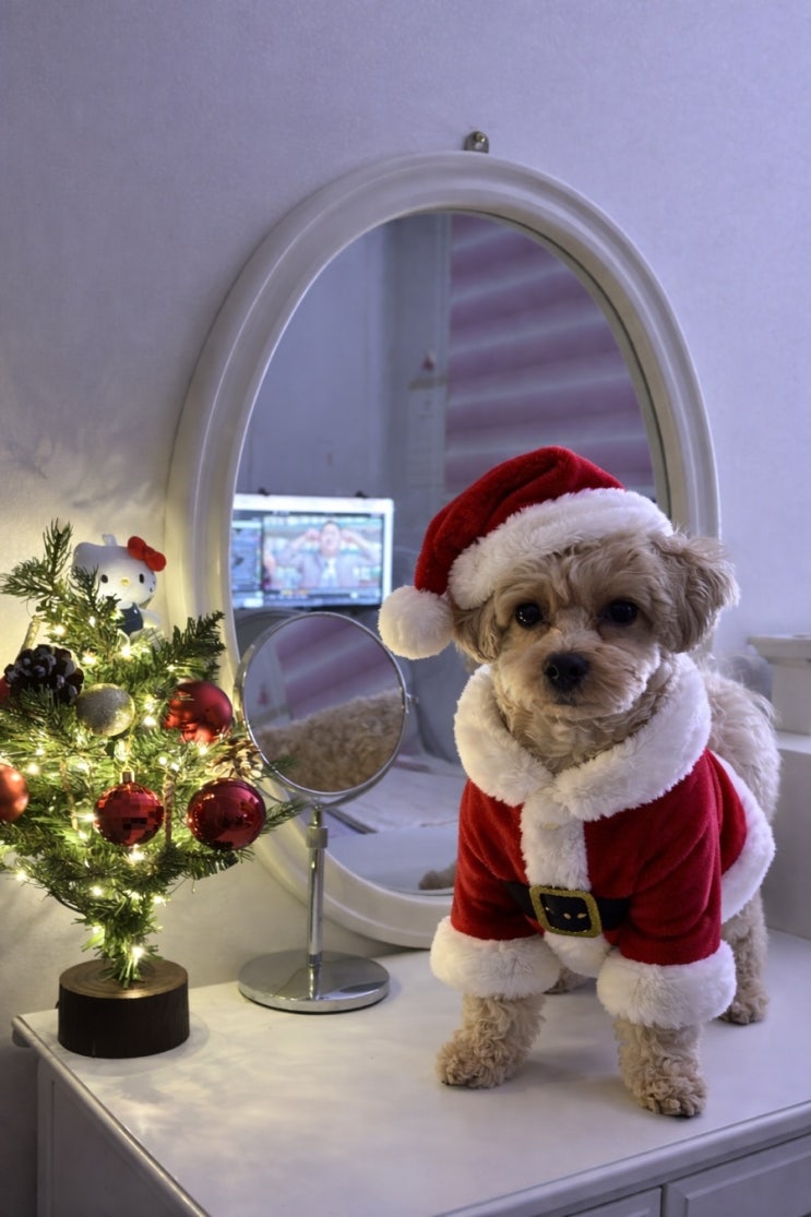 ep.20 : 네이버 블로그