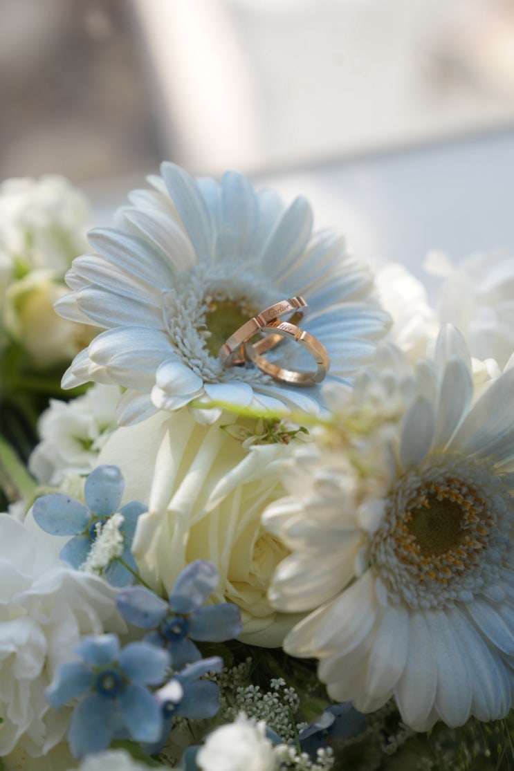[Wedding] 꼬모스튜디오 한남 웨촬의 날 : 네이버 블로그