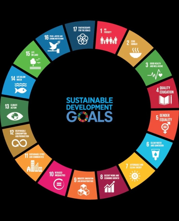 SUSTAINABLE DEVELOPMENT GOALS : 네이버 블로그