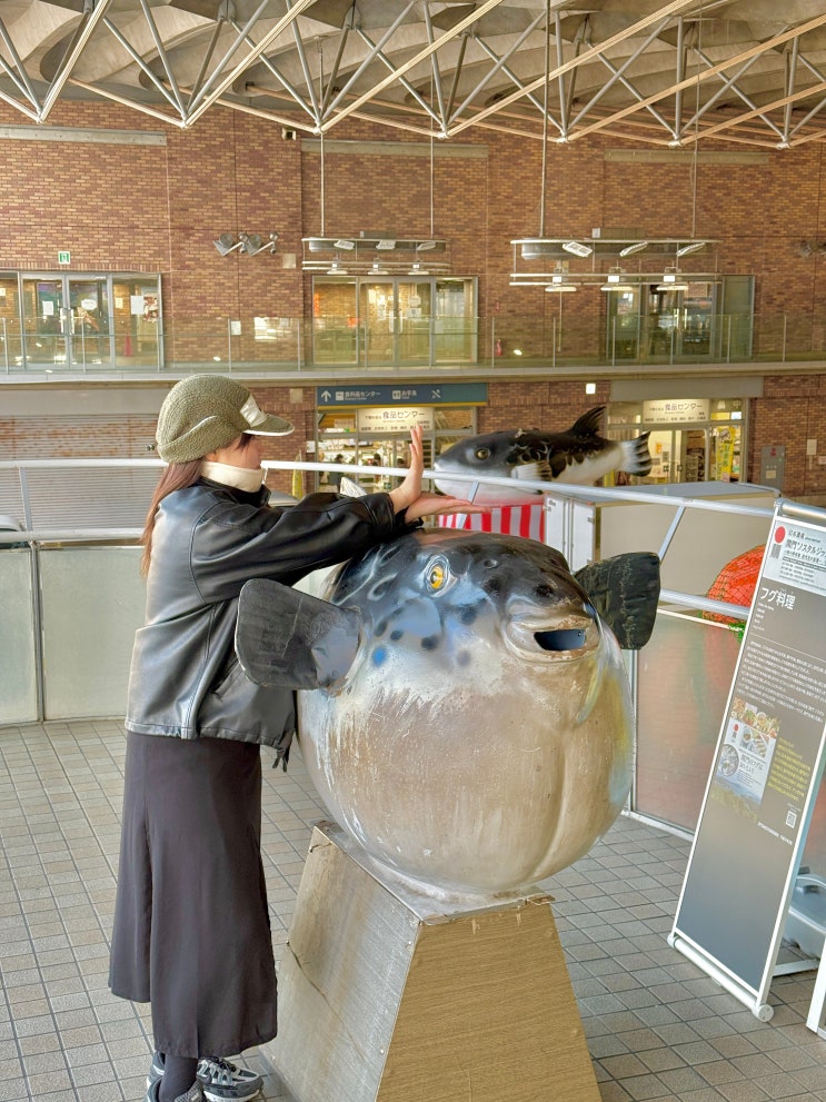 일본 시모노세키 여행 가라토시장 스시 평일 운영 시간 초밥 맛집 : 네이버 블로그