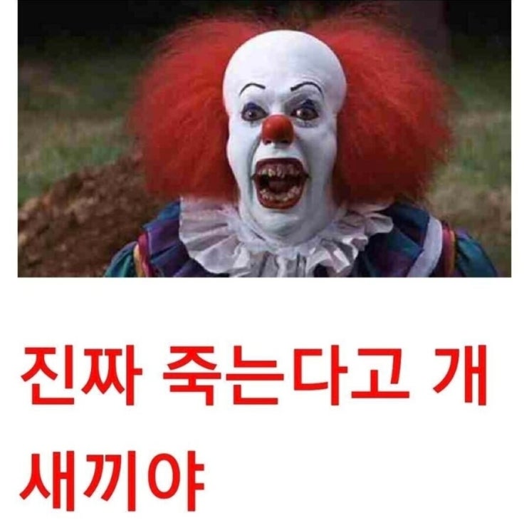 토착 파르스 : 네이버 블로그