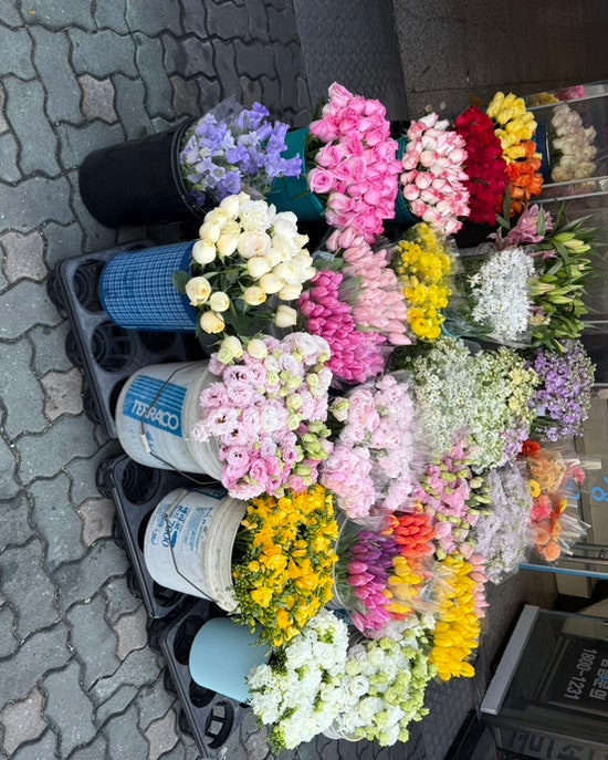 내게 1월 1일은 없다고 : 네이버 블로그