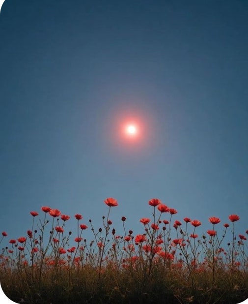 행복 : 네이버 블로그