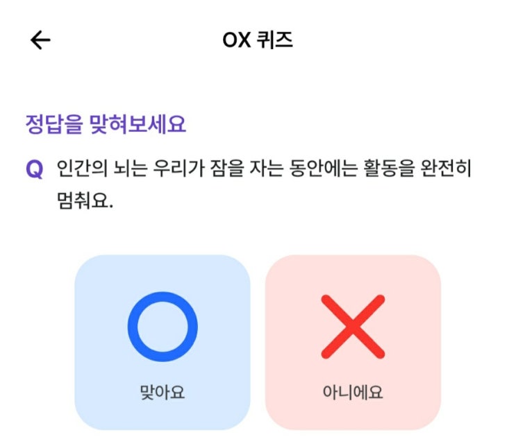 비트버니 OX퀴즈 정답 1월 18일 (인간의 뇌) : 네이버 블로그