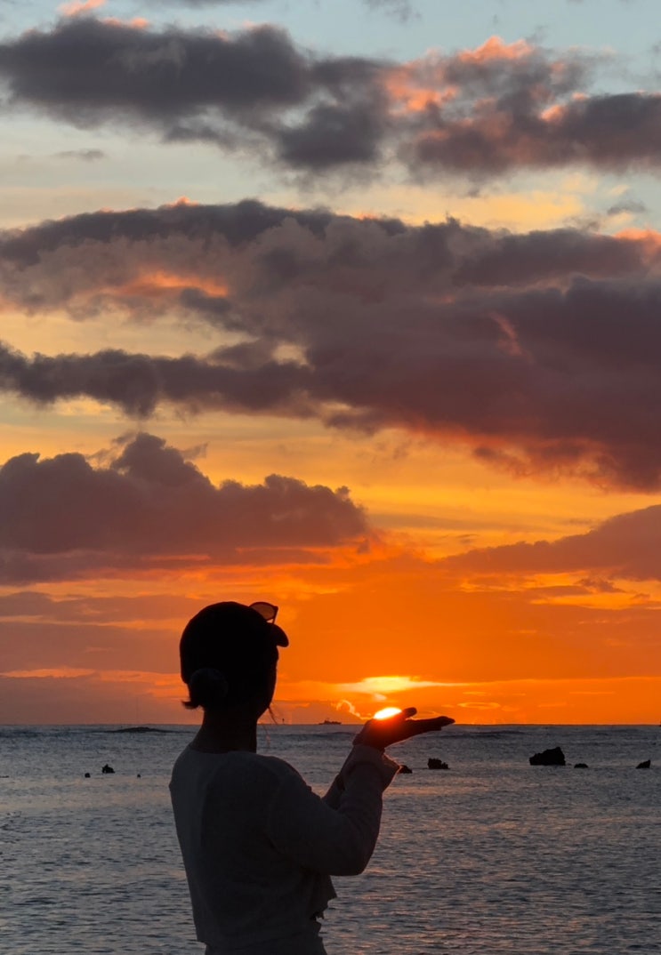 [하와이] 혼자여행 2일차-2 (알라모아나센터, 알라모아나해변공원, 월마트 마그넷, 마우이브루잉) : 네이버 블로그