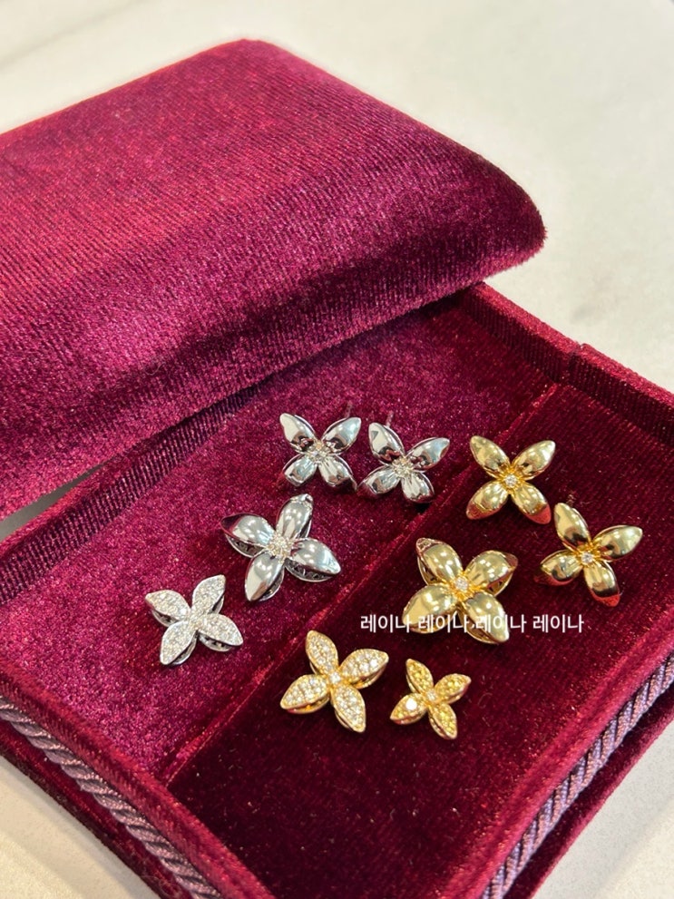 골든듀 펄시피아 미뇽과 기본 목걸이 펜던트 단란한 가족사진 : 네이버 블로그