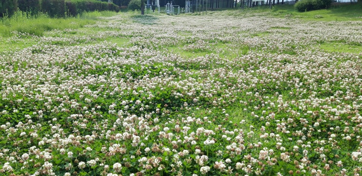 "승진했더니 연봉 5700만원 줄었다"…공기업 '심각한 상황' : 네이버 블로그