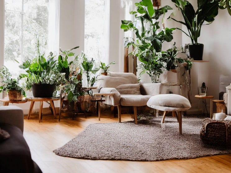 과달라하라 여행 추천 명소와 문화 체험 소개 : 네이버 블로그