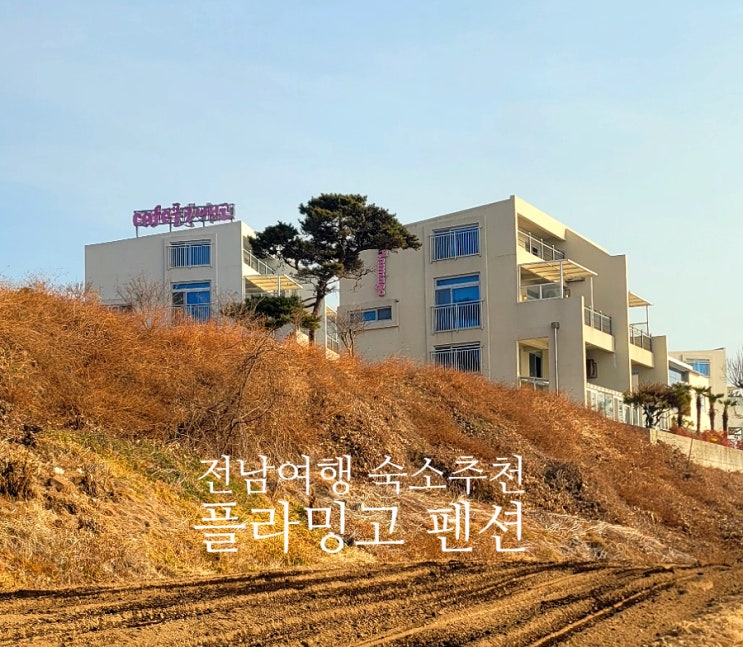 전남 보성 여행 펜션 추천 바다 앞 산책로가 예쁜, 넓고 깨끗한 숙소 플라밍고 : 네이버 블로그