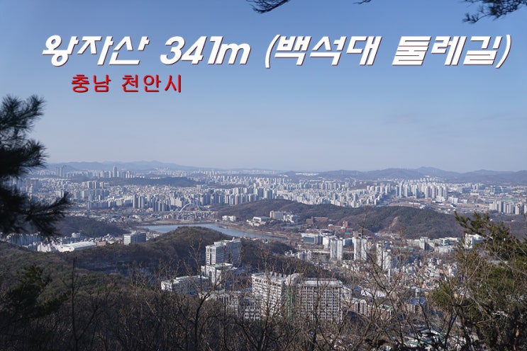 천안 왕자산 341m 백석대학교 상명대 천안캠퍼스 둘레길 등산코스 : 네이버 블로그