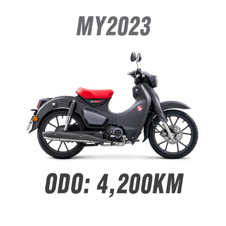 [중고차량] 23년식 혼다 슈퍼커브 C125 , 허스크바나 일산점 ♠ 판매완료 : 네이버 블로그