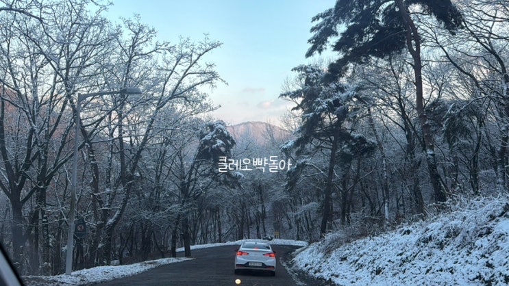 2526 시즌 12월 : 네이버 블로그