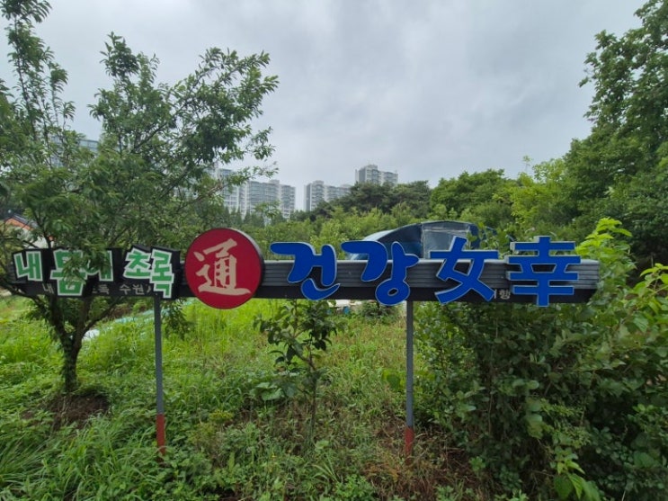 담적증후군에서 '해방'...通 건강女幸 ' 다비움' : 네이버 블로그