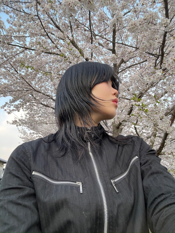 도쿄 일상 : D+ 403 여전히 봄 : 네이버 블로그