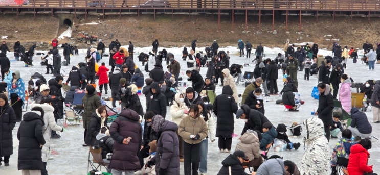 2026년 평창 송어축제 : 네이버 블로그
