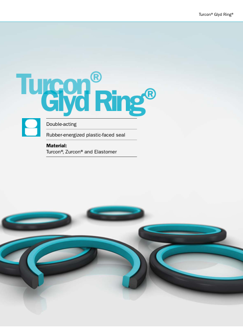 Turcon Glyd Ring : 네이버 블로그