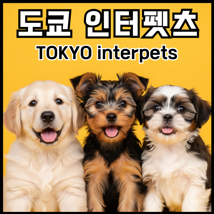 인터펫츠 도쿄 2026 Interpets Tokyo : 네이버 블로그