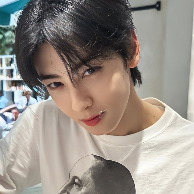 "200억대 탈세 의혹?" 차은우 엄마까지 소환 시스루펌으로 보는 근황 : 네이버 블로그