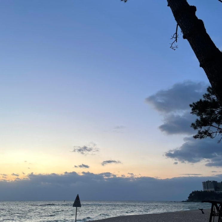 이제는 꽤 괜찮은 마음 : 네이버 블로그