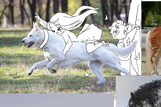 draw your oc riding a horse : 네이버 블로그