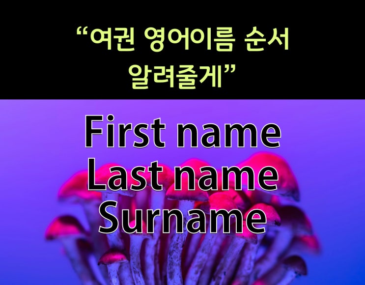 first name 뜻 last name, surname 여권영어이름 순서 정리 : 네이버 블로그