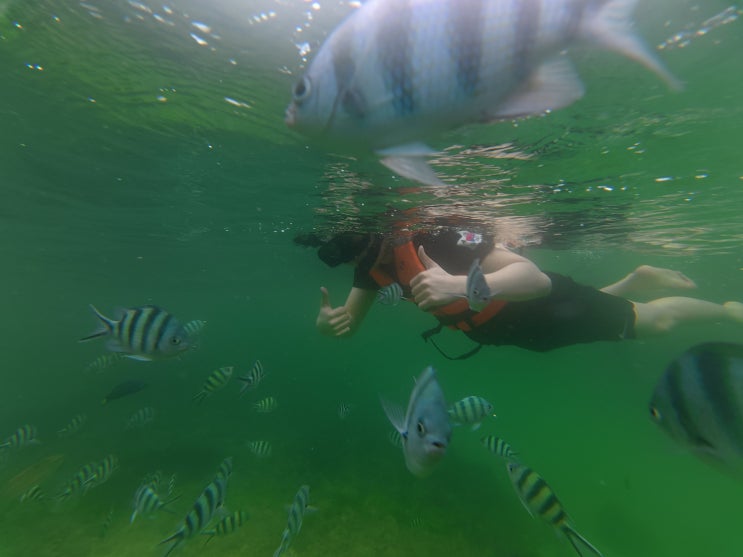 코타키나발루 친구들이랑 3박 5일 자유여행 후기 : 네이버 블로그