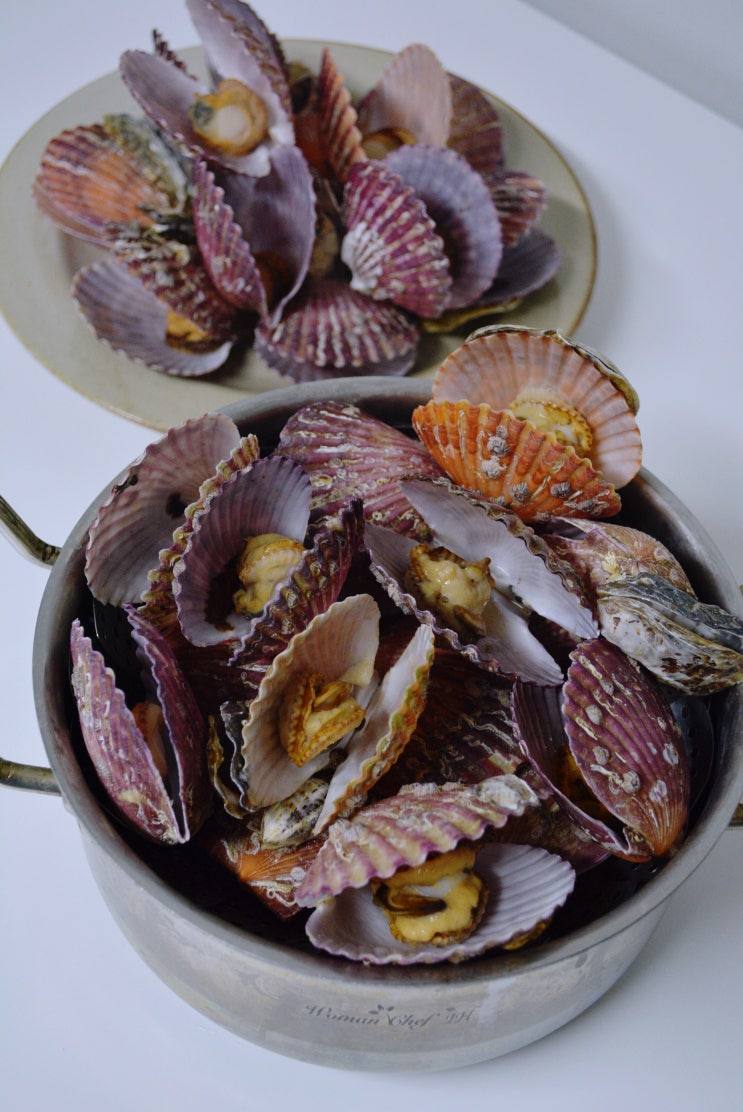 홍가리비 찌는법 통영 세척홍가리비로 홍가리비파스타 : 네이버 블로그