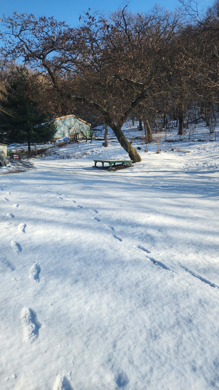 [드론] 관악산펜션 : 네이버 블로그