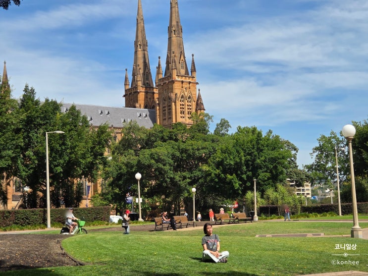 [시드니 5박6일] 패디스 마켓 / 마막 헤이마켓 / 콜스 월드스퀘어점 / 울워스 / 하이드 공원 / 춉하우스 ...
