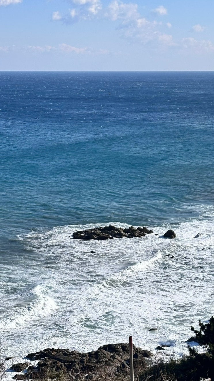 #114_행복하려 아픈 반복이라고 : 네이버 블로그