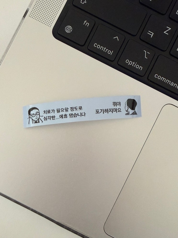 브라더 라벨기 구매 후기(PT-P300BT)(+폰트추천,라벨지 꾸미는법) : 네이버 블로그