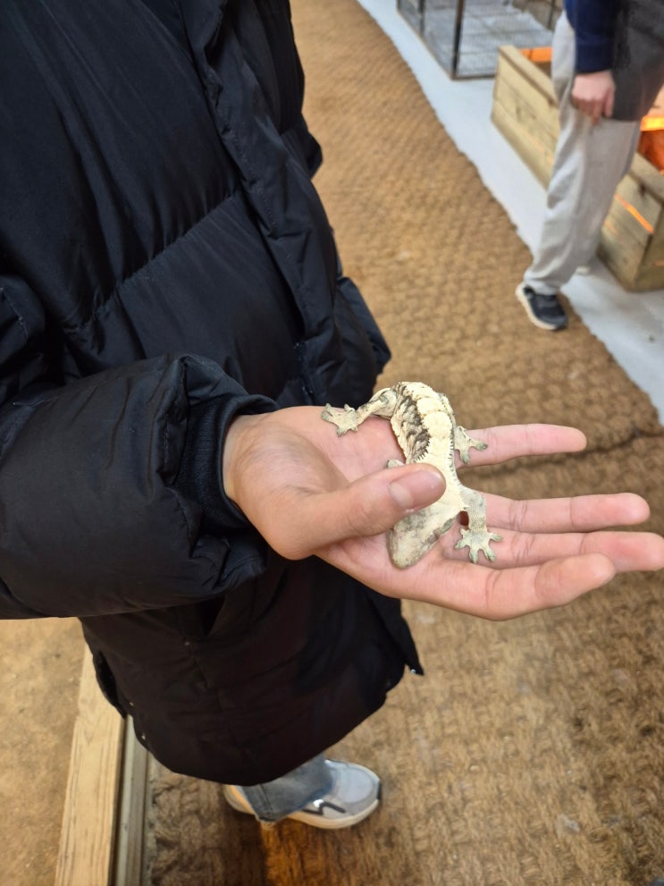 청주실내동물원 데이트 버드앤쥬 아이와 알찬방학코스 : 네이버 블로그