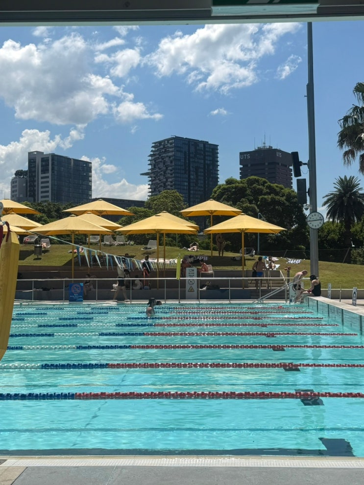 시드니 야외 수영장 프린스 알프레드 파크 퍼블릭풀 Prince Alfred Park Public Pool : 네이버 블로그