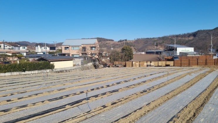 U-23 졸전은 왜일까? : 네이버 블로그