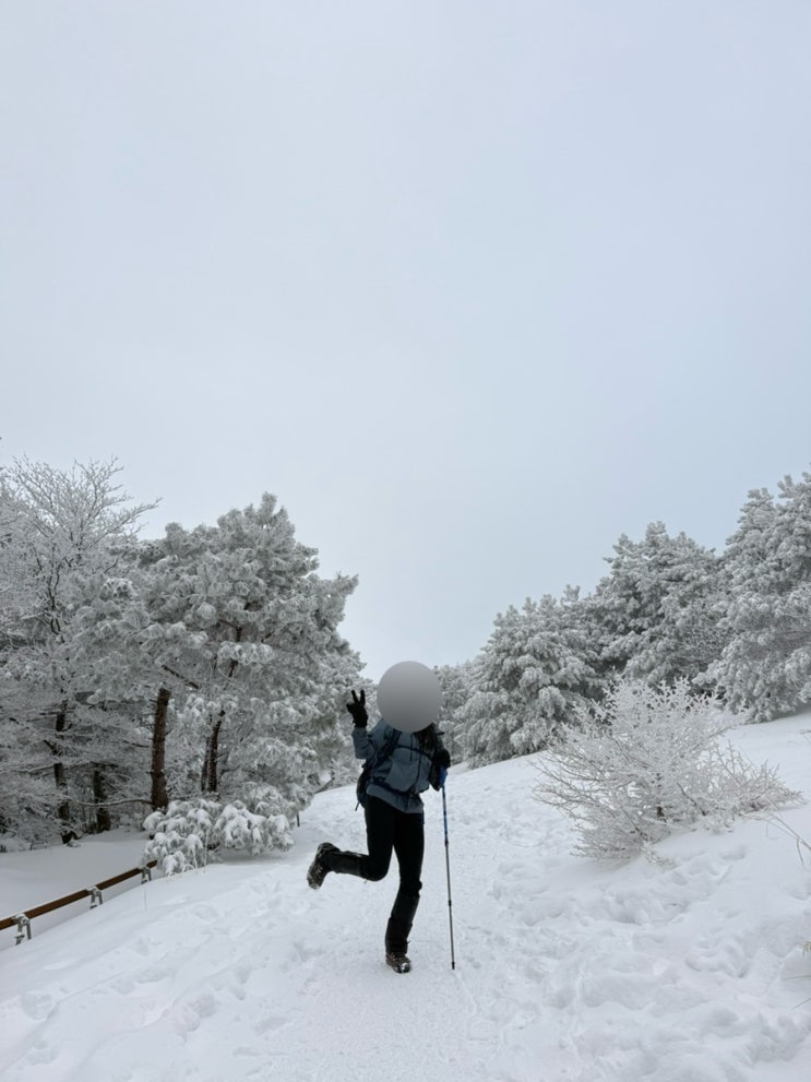 제주도 오쉐어 등산용품 대여 후기 윗세오름 설산 등산후기 : 네이버 블로그