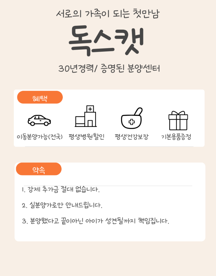 독스캣 입양절차 강아지 고양이분양 수원점 총정리 : 네이버 블로그