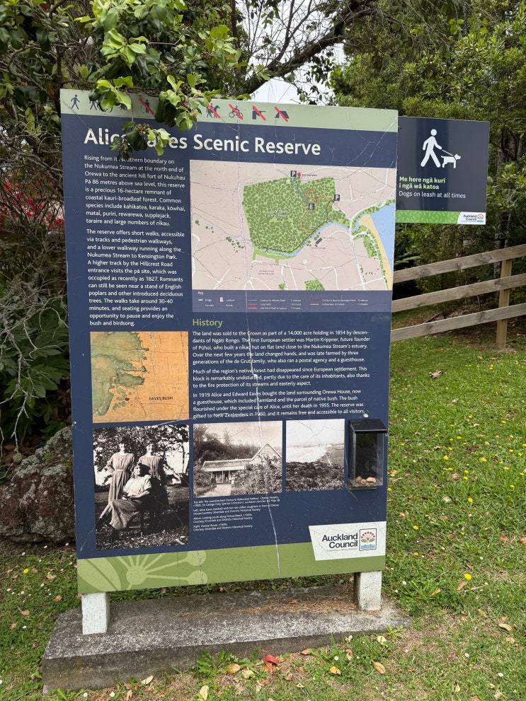 Alice Eaves Scenic Reserve : 네이버 블로그