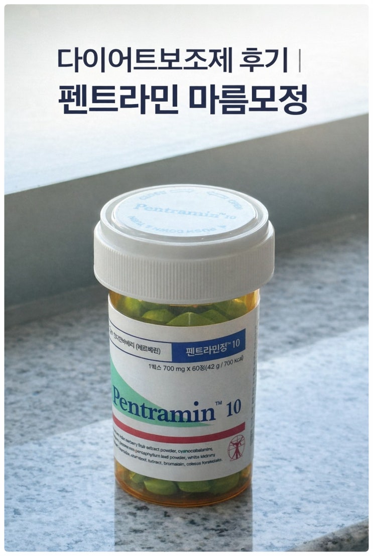 다이어트보조제 후기, 펜트라민정 내돈내산 솔직 리뷰 : 네이버 블로그